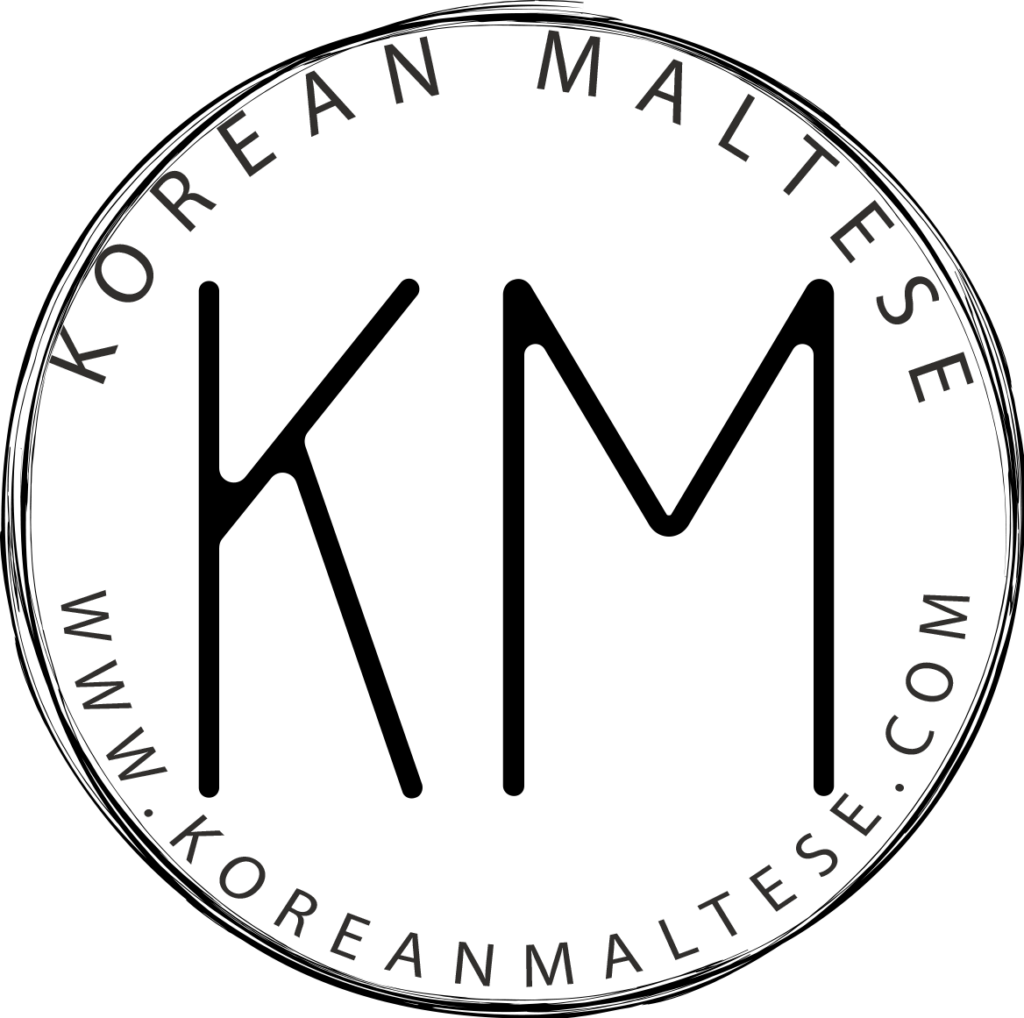 Available puppies – Korean Maltese