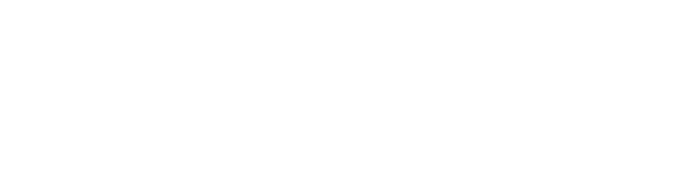 Available puppies – Korean Maltese